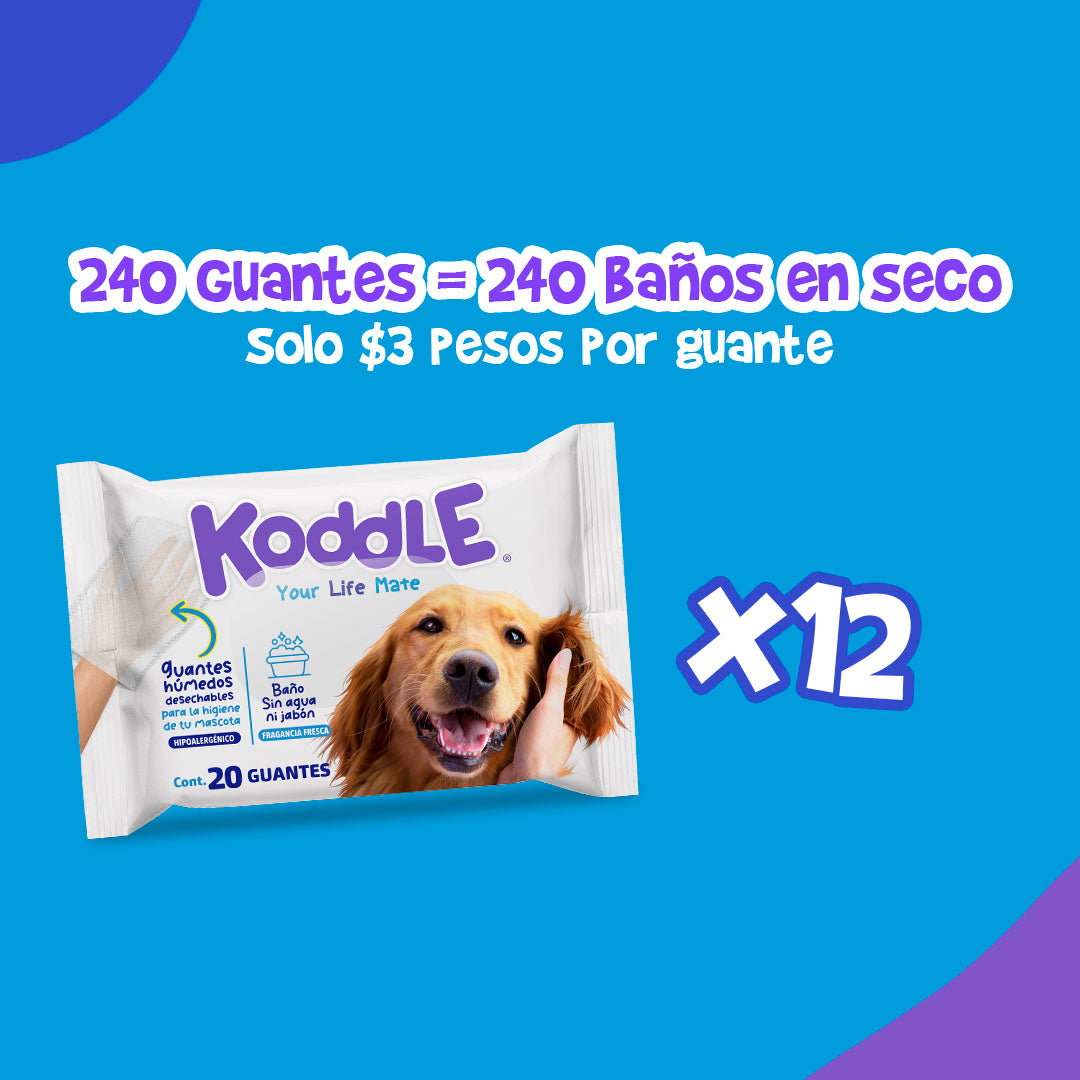 Comprar Koddle 3 -12 Pack – Koddle México